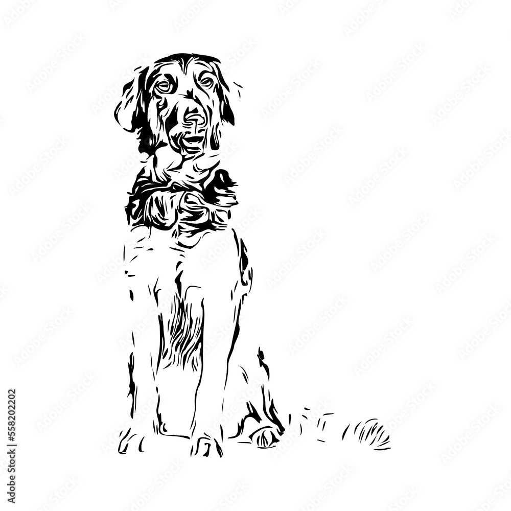 black and white drawing sketch of a dog with a transparent background ...