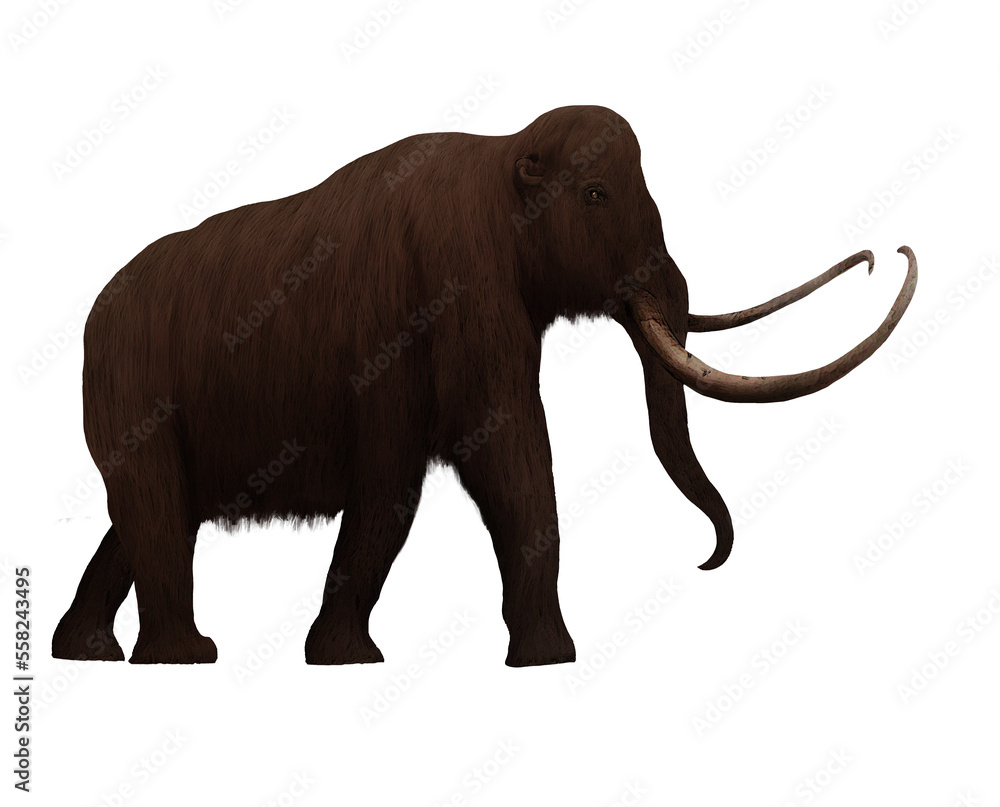 Woolly Mammoth Walking Ice Age Digital Art By Winters860 Isolated ...