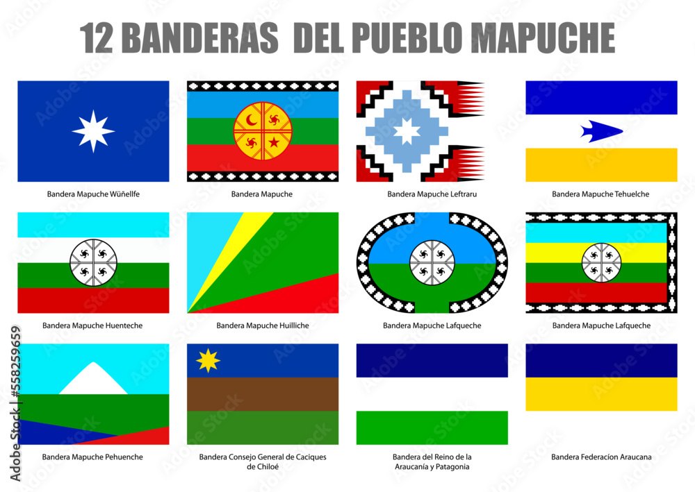 12 banderas Pueblo originario Mapuche Stock Vector | Adobe Stock