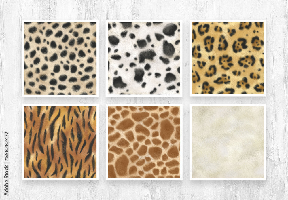 Animal Patterns Stock Template | Adobe Stock