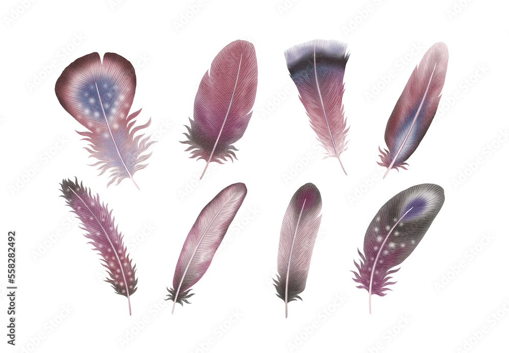 Purple Feathers Feather Clipart Illustration Stock Template | Adobe Stock