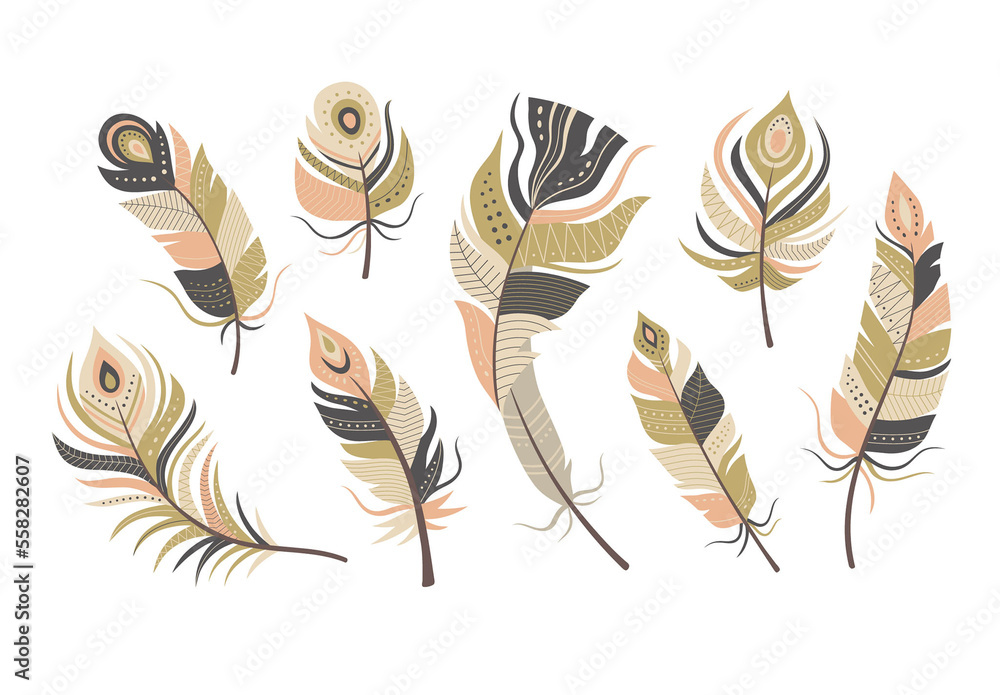 Vector Feathers Illustration Stock Template | Adobe Stock