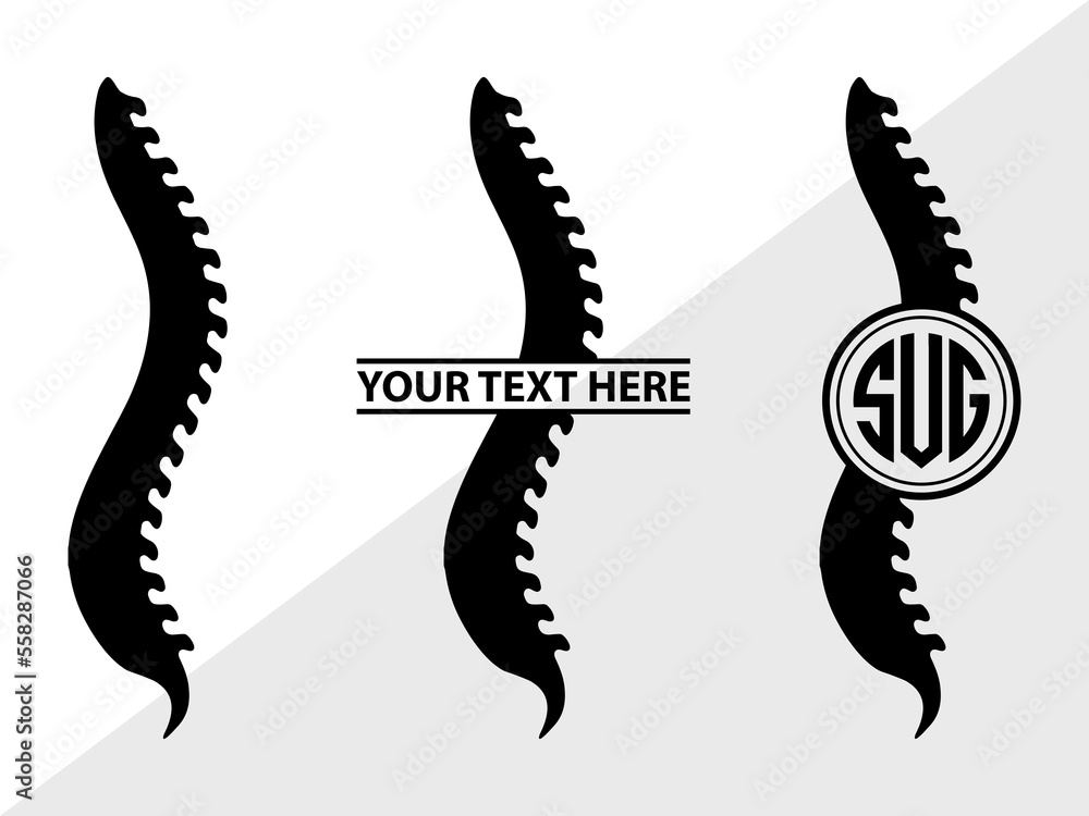Anatomy Spine monogram, Anatomy Spine Silhouette, Anatomy Spine SVG ...