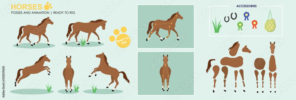 Brown Horse ready to animate with multiple poses accessories. Vector ...