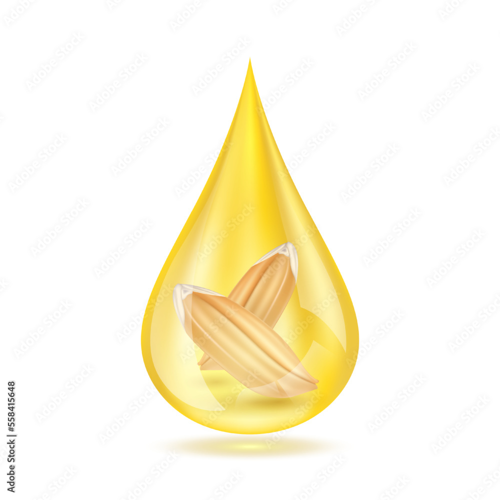 Paddy ear rice seed in oil dripping close up realistic. Vegetarian ...