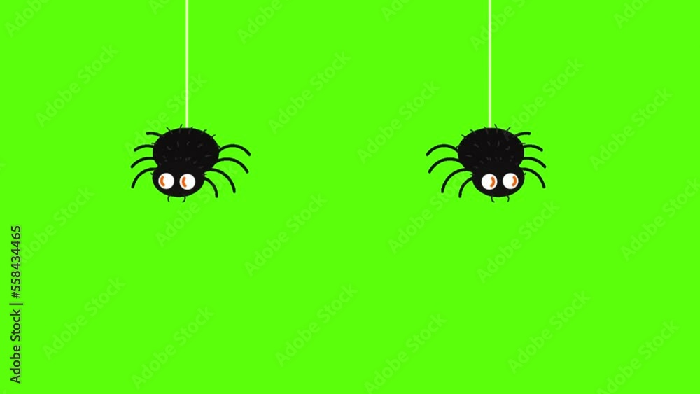 Cartoon spider Hanging down animation video on Green screen background ...