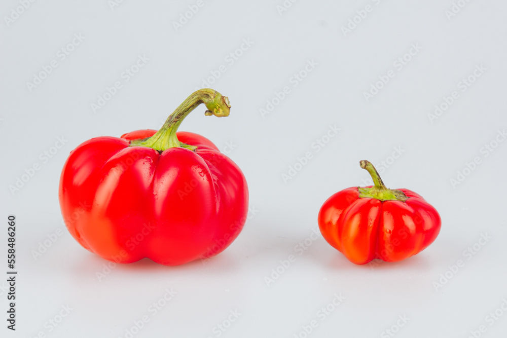 Colorful small red peppers on a white background. Sweet pepper Mini ...