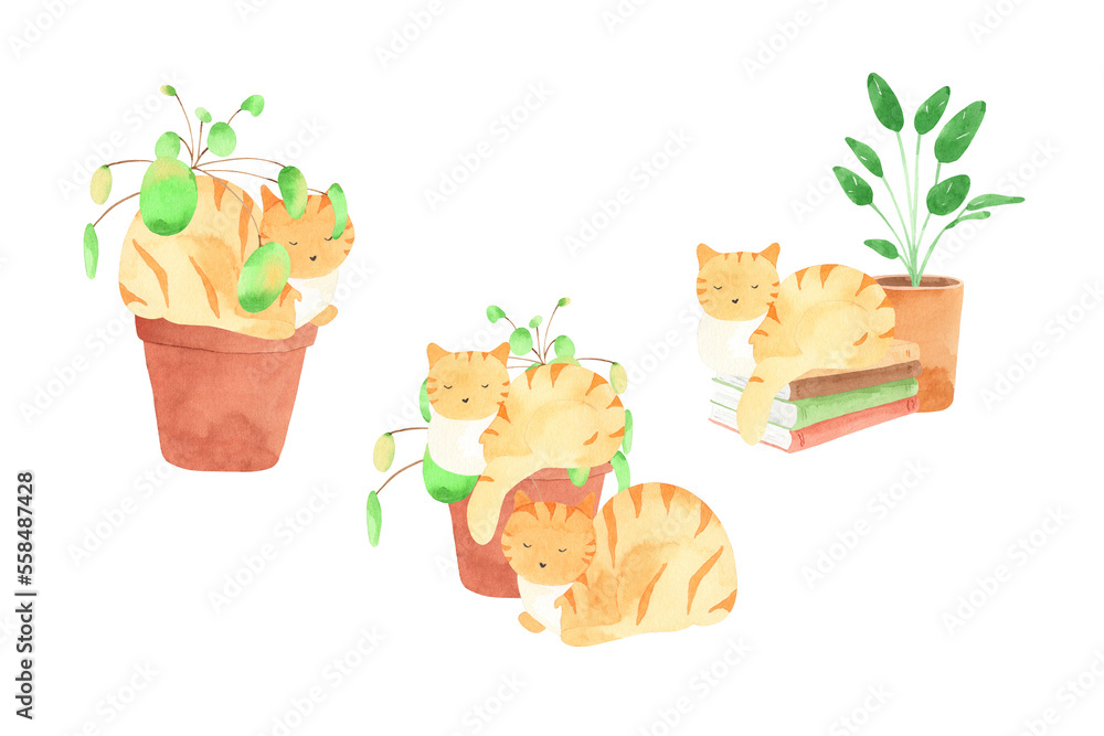 Watercolor plants with cats in pots - illustration, isolated png, hand ...