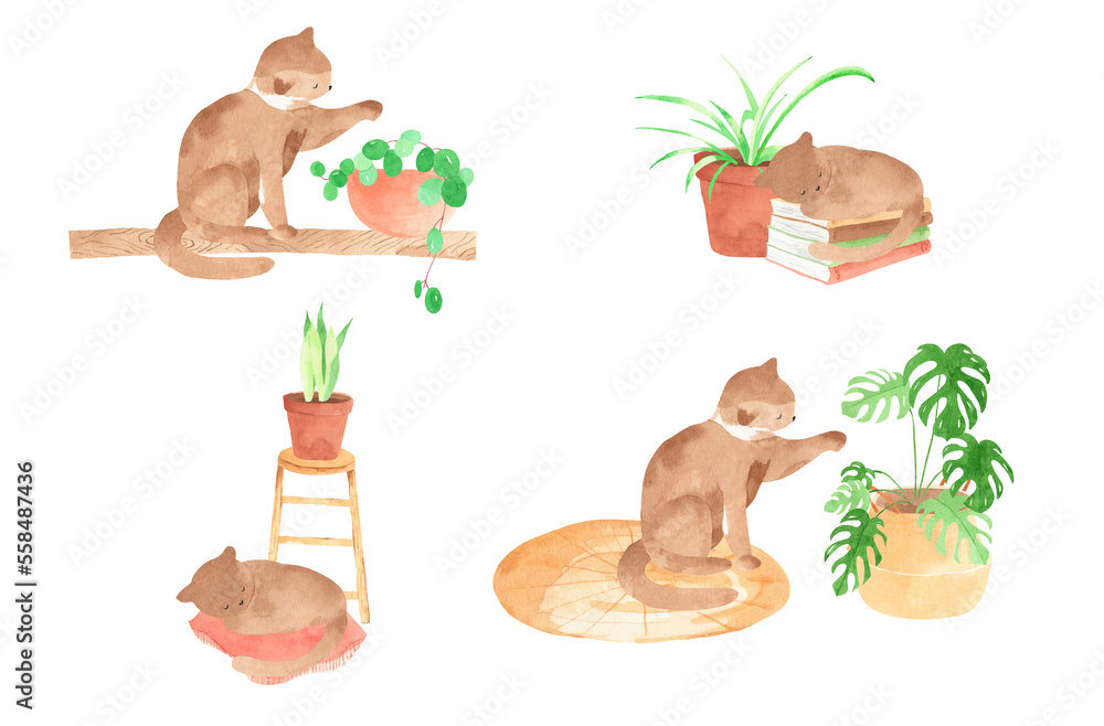 Watercolor plants with cats in pots - illustration, isolated png, hand ...