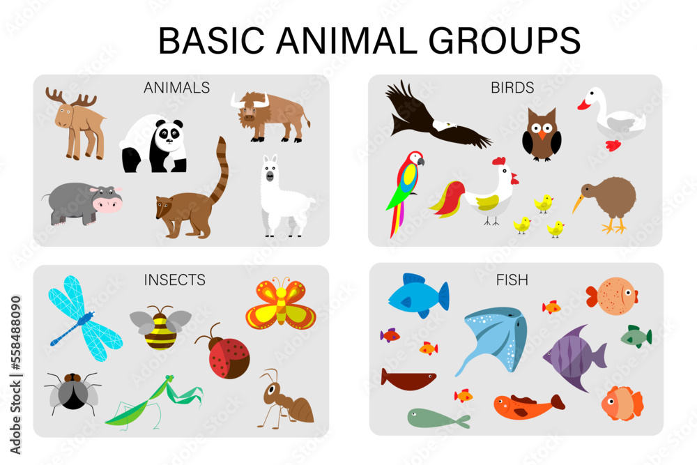 Basic animal groups. Insects, wild and domestic animals, fish, birds ...