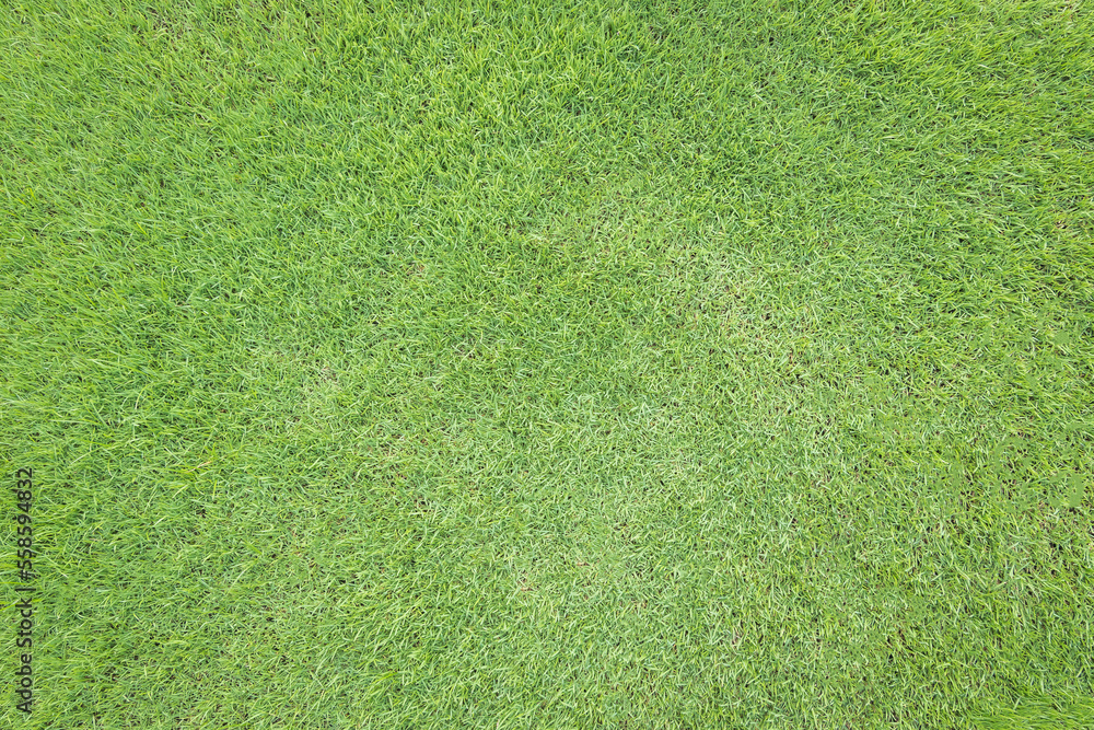Green grass lawn texture background from top view for golf course turf ...