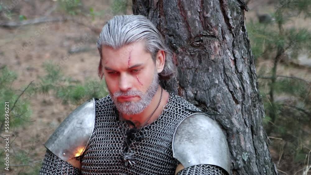 Portrait of a medieval warrior with gray hair and a scar on his face in ...