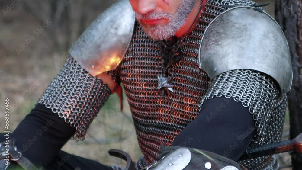 Portrait of a medieval warrior with gray hair and a scar on his face in ...
