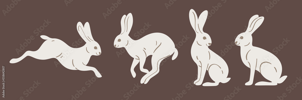 Cute white hare illistration set. Animal character in different poses ...