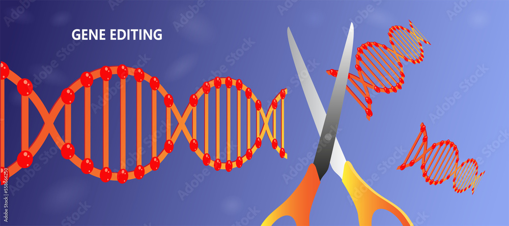 Gene editing illustration, Dna engineering. scissors cut abstract ...