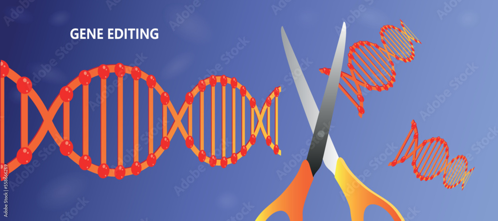 Gene editing illustration, Dna engineering. scissors cut abstract ...