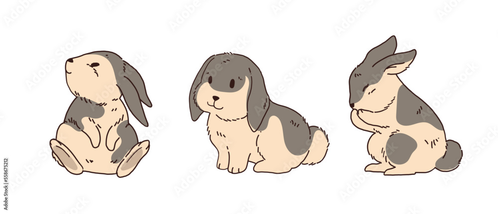 Set of cute brown rabbit bunny animal. Happy New Year 2023 year of the ...