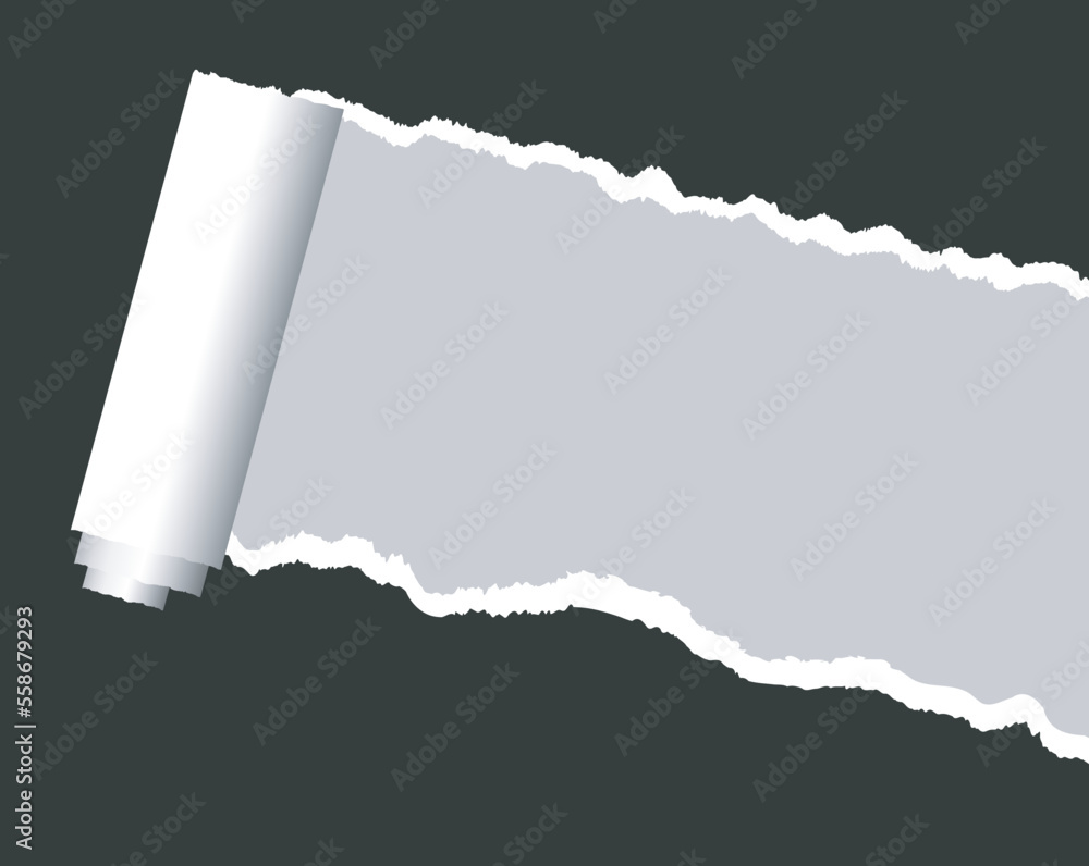 Torn paper with a roll on black background. Vector realistic Mock up ...