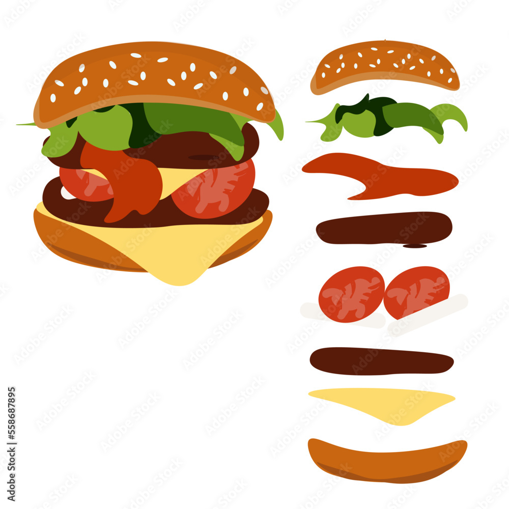 hamburger on white , structure of burger vector illustration. set of ...