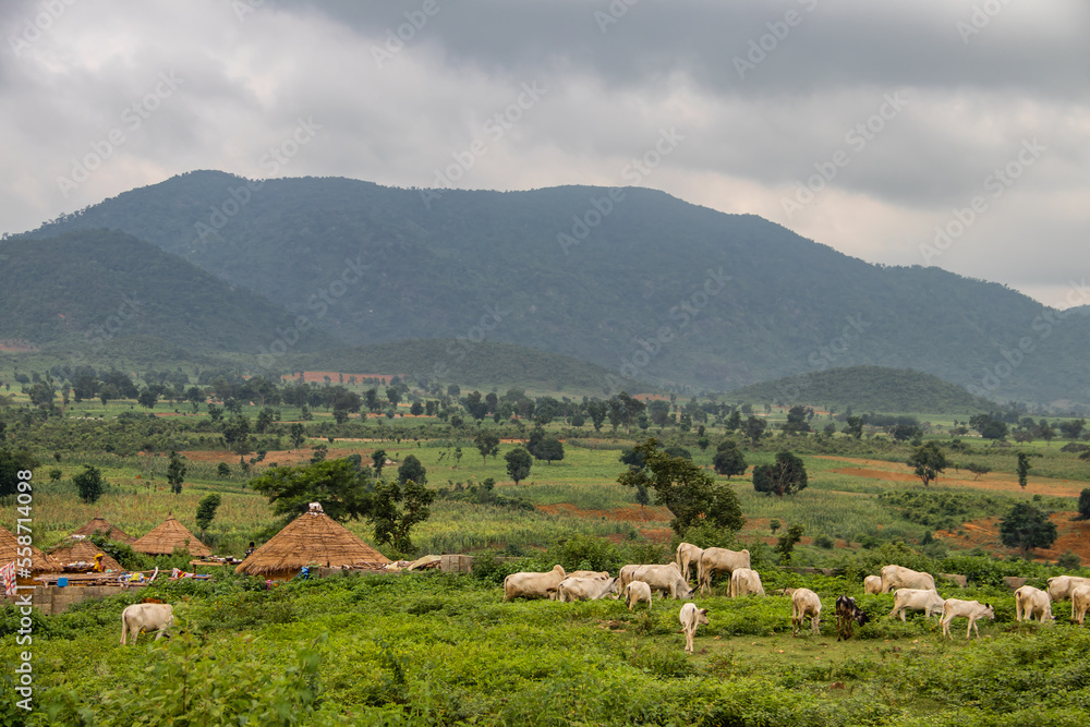 African village in Nigeria near capitol city of Abuja. Traditional ...