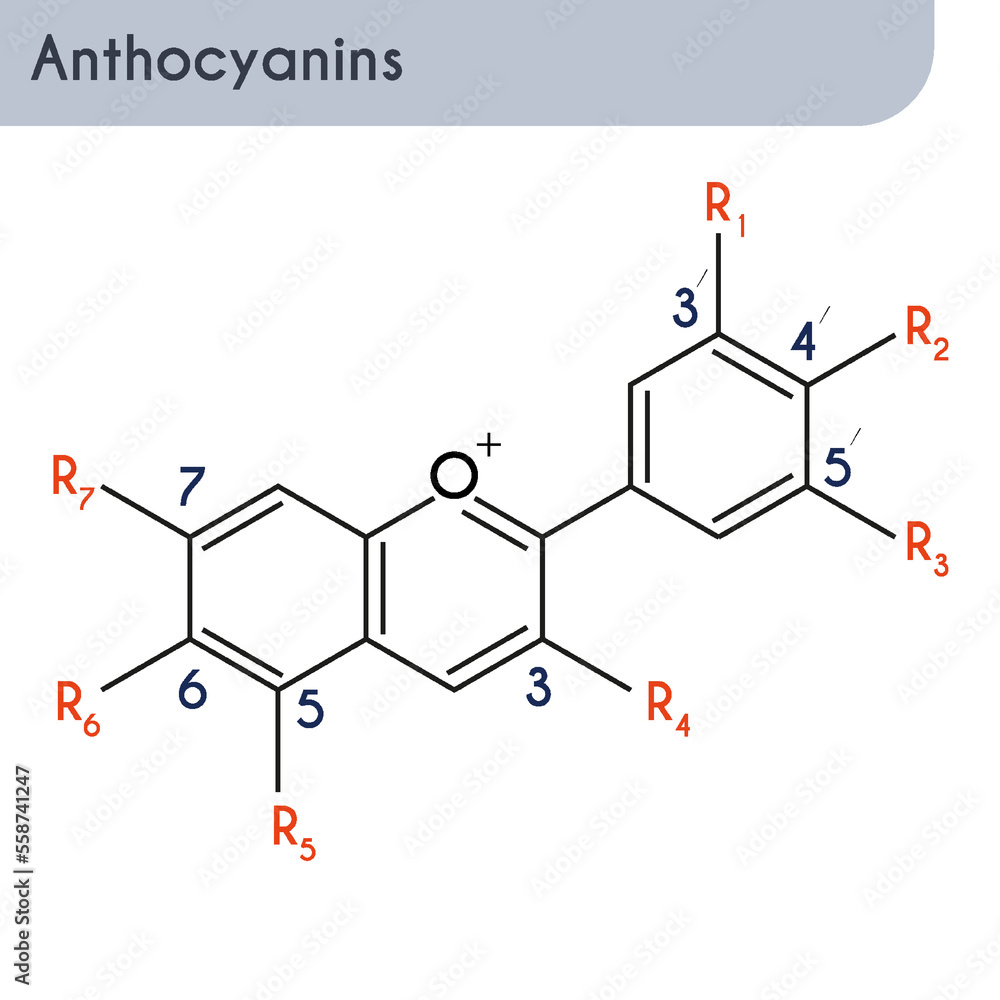 Anthocyanin molecular skeletal chemical formula. Stock Vector | Adobe Stock