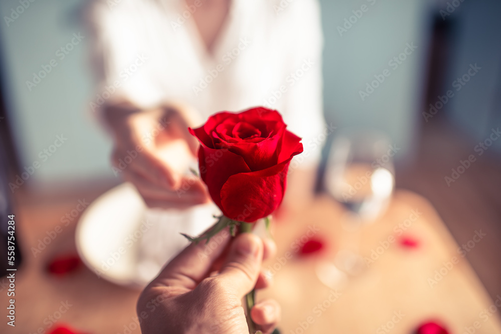 Man giving woman a single red rose in a romantic dinner date night ...