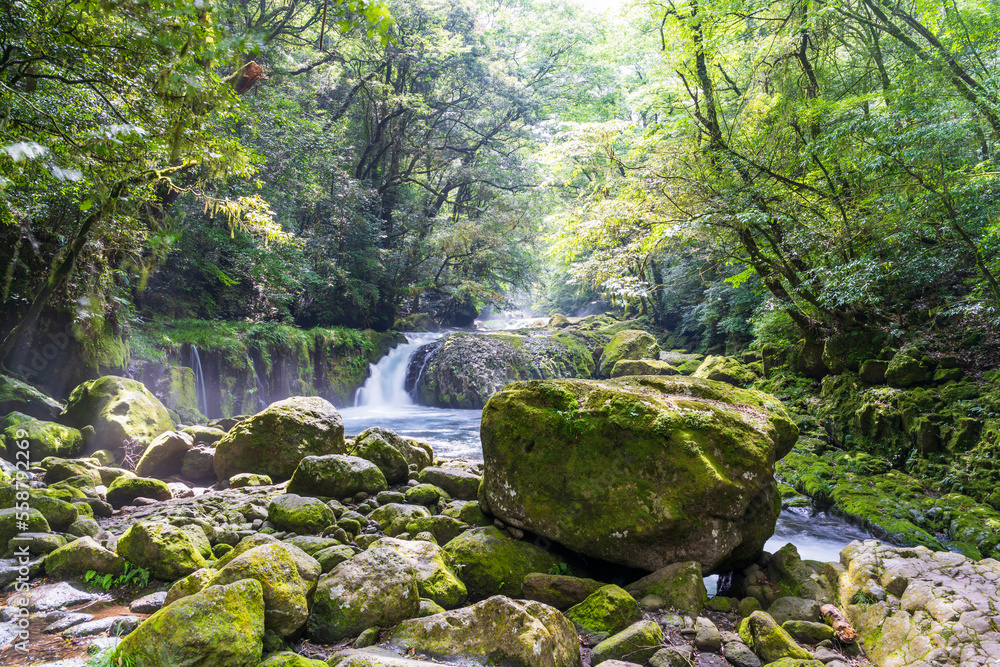 美しい夏の「水と緑にあふれた菊池渓谷」有名な観光名所 A famous sightseeing spot in the beautiful ...