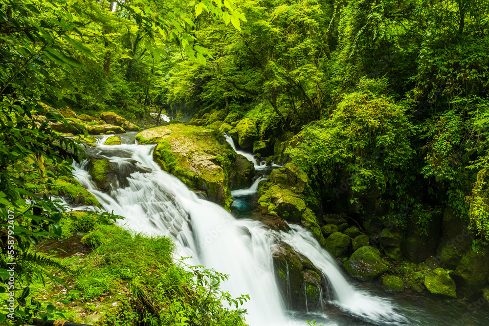 美しい夏の「水と緑にあふれた菊池渓谷」有名な観光名所 A famous sightseeing spot in the beautiful ...