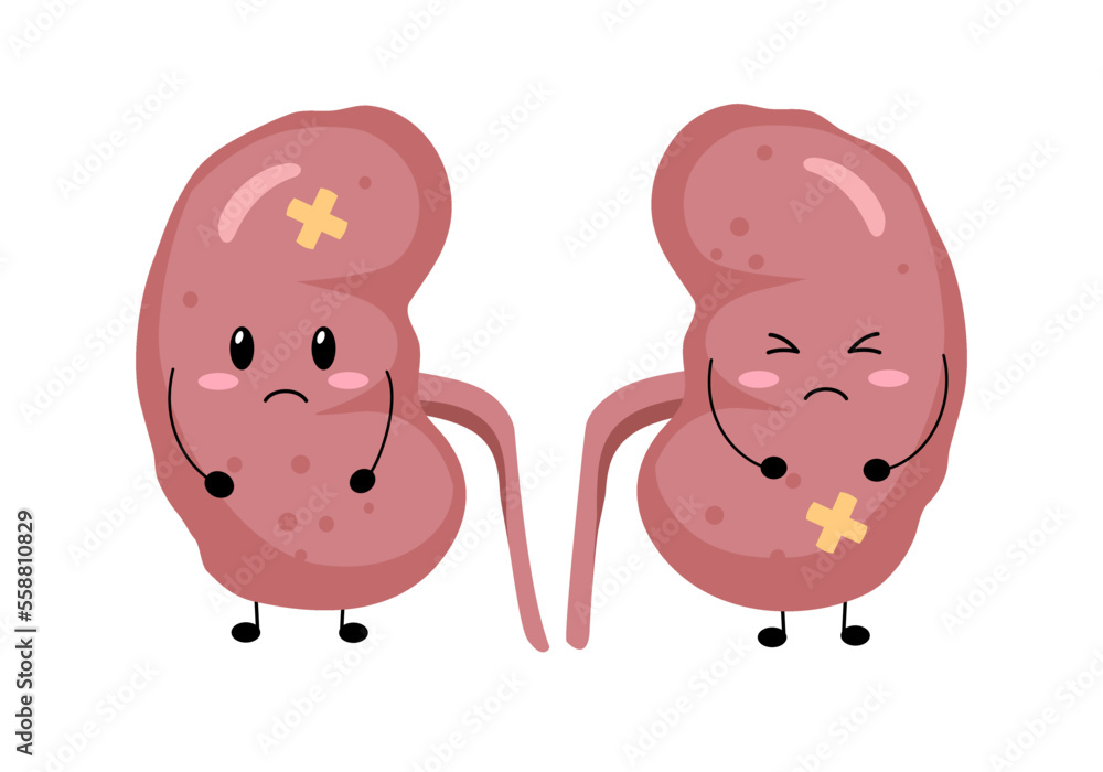 Cute sad sick kidney cartoon character in flat design on white ...