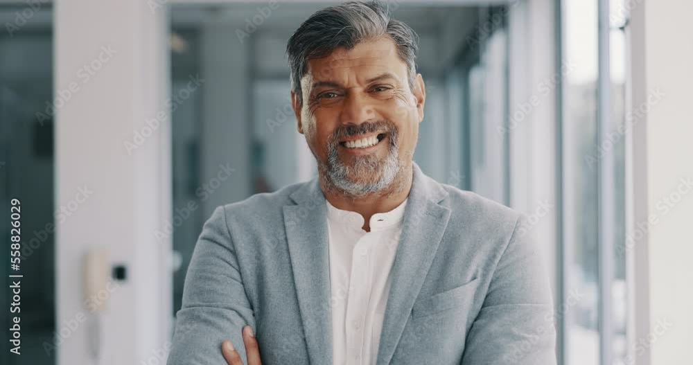 CEO, face or senior businessman with leadership, success mindset or ...