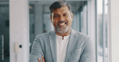 CEO, face or senior businessman with leadership, success mindset or ...