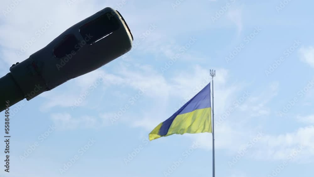 Groups of ancient military guns against the background of the State ...