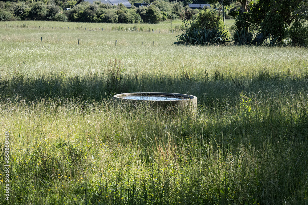 Concrete water trough at farm, with float Stock Photo | Adobe Stock