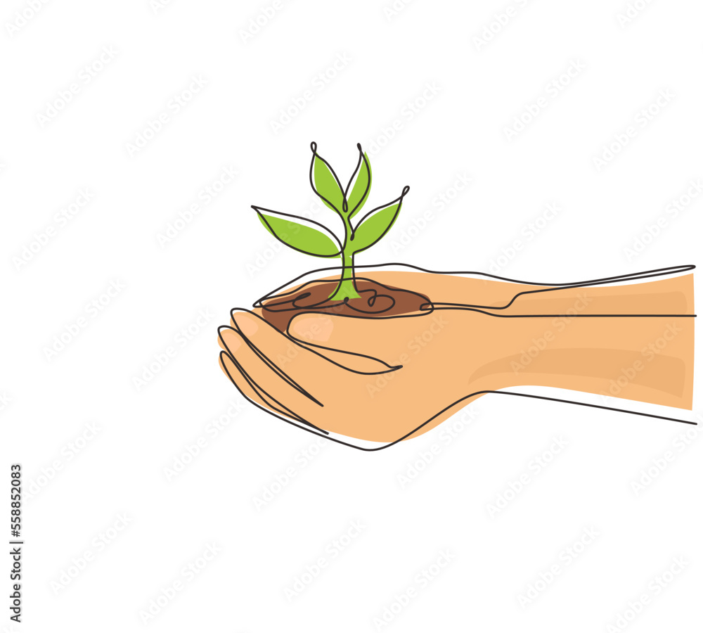 Seedling In Hand Clipart