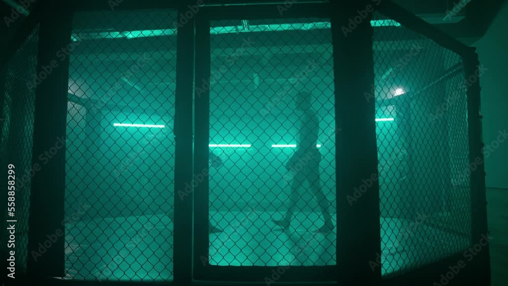 MMA fighters enter the cage ring. Mixed martial arts fight. Cinematic ...