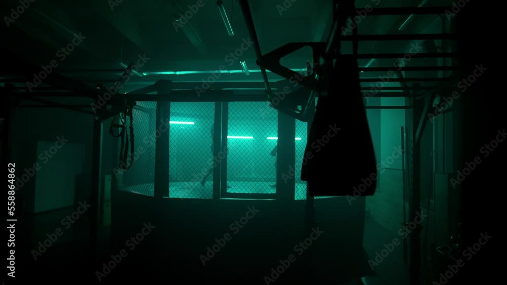 MMA fighters enter the cage ring. Mixed martial arts fight. Cinematic ...