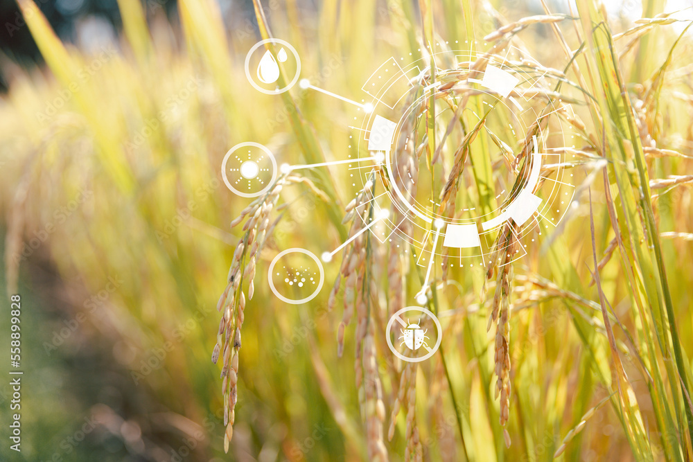 Innovation technology for smart farm system, Agriculture management ...