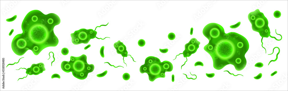 Amoeba background vector in green color, organism microbiology bacteria ...