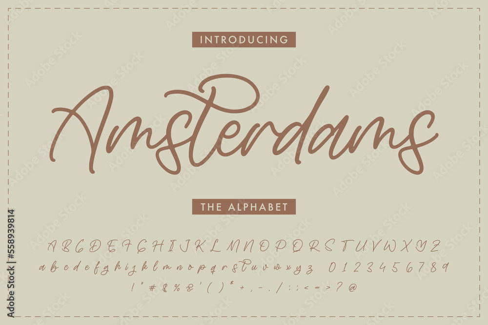Luxury and elegant Alphabet. Beautiful Calligraphy Signature Font ...