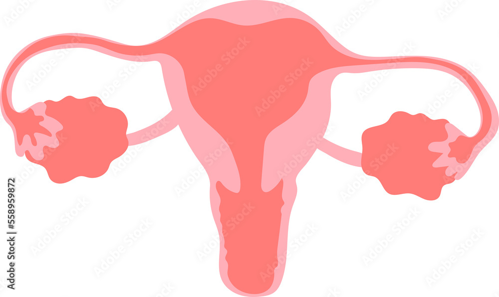 Cute kawaii funny mascot organ character female reproductive system ...