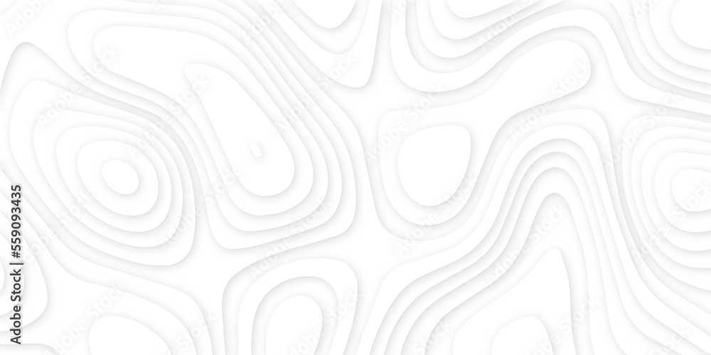 Abstract 3d wavy line paper cut white background.realistic papercut ...