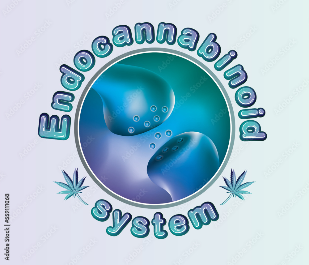 the human endocannabinoid system on white background, typography logo ...