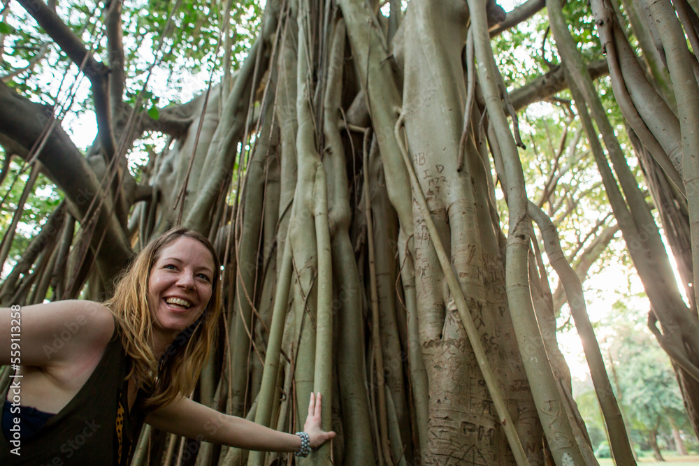 Woman standing near Indian banyan tree (Ficus benghalensis) at Durban ...