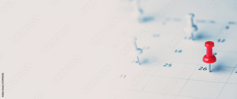 Embroidered red pins on a calendar event Planner calendar,clock to set ...