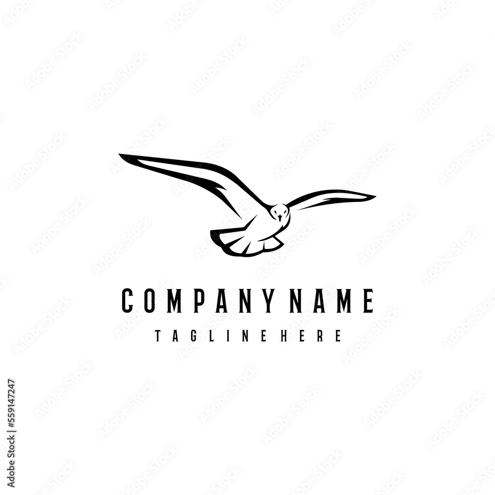 Outline Seagull Bird Animal Flying Graphic Illustration Concept Feather ...