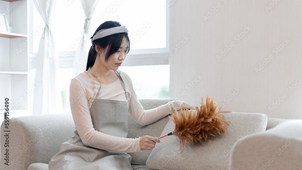 Housewife holding a dusting brush to clean things Pillows, rugs and ...