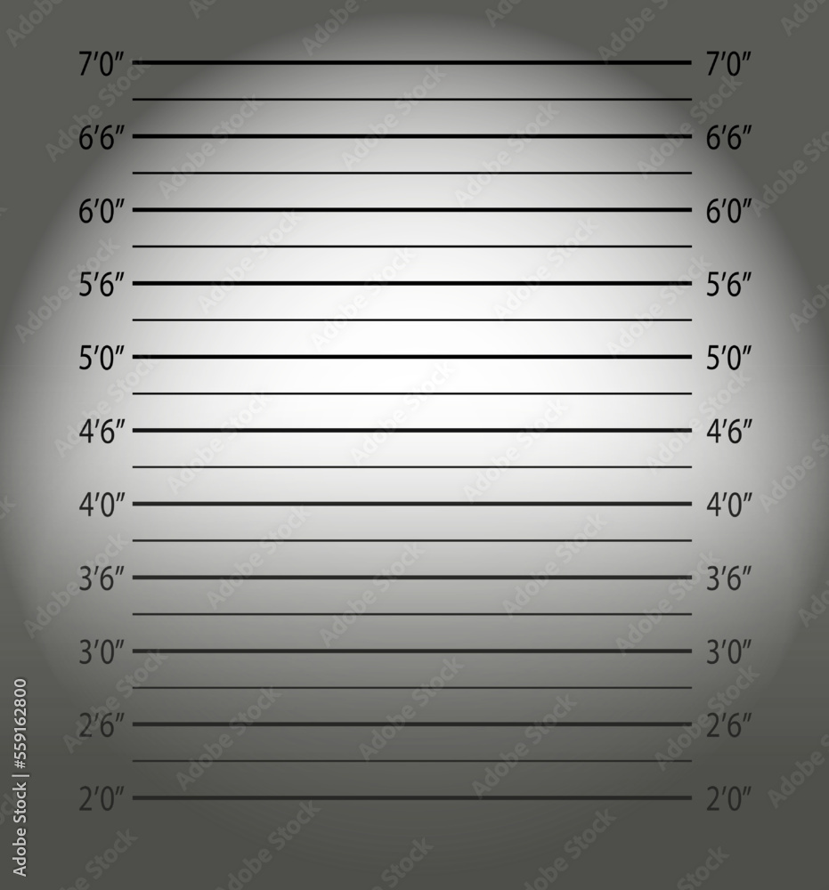 Police mugshot.Police lineup or mugshot background. Stock Vector ...