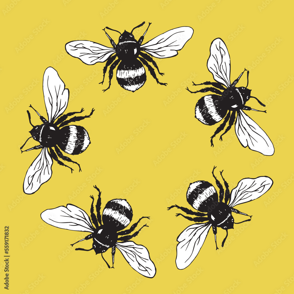 Bumblebee set. Hand drawn vector illustration. Vector drawing of tree ...
