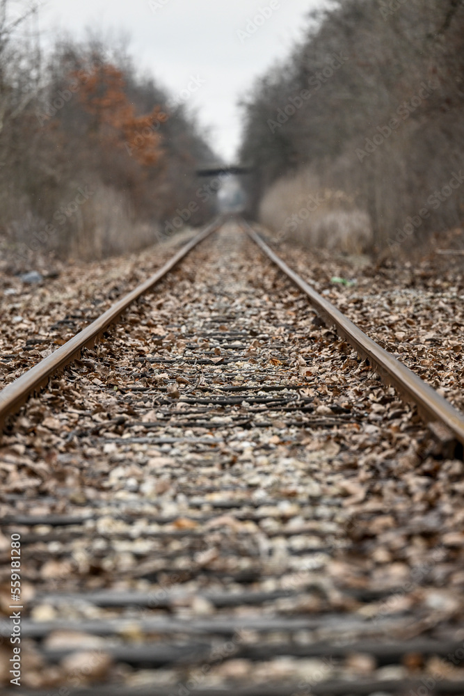 defocused out of service railroad tracks in the winter Stock Photo ...