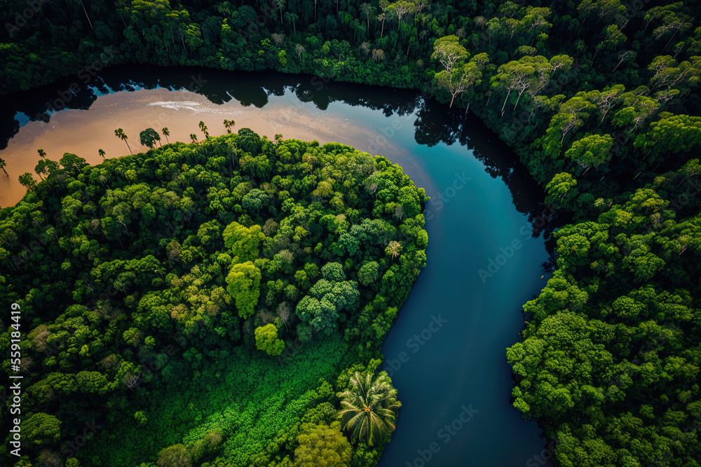 Aerial view of Peru's rainforest and the Amazon rain forest. Generative ...